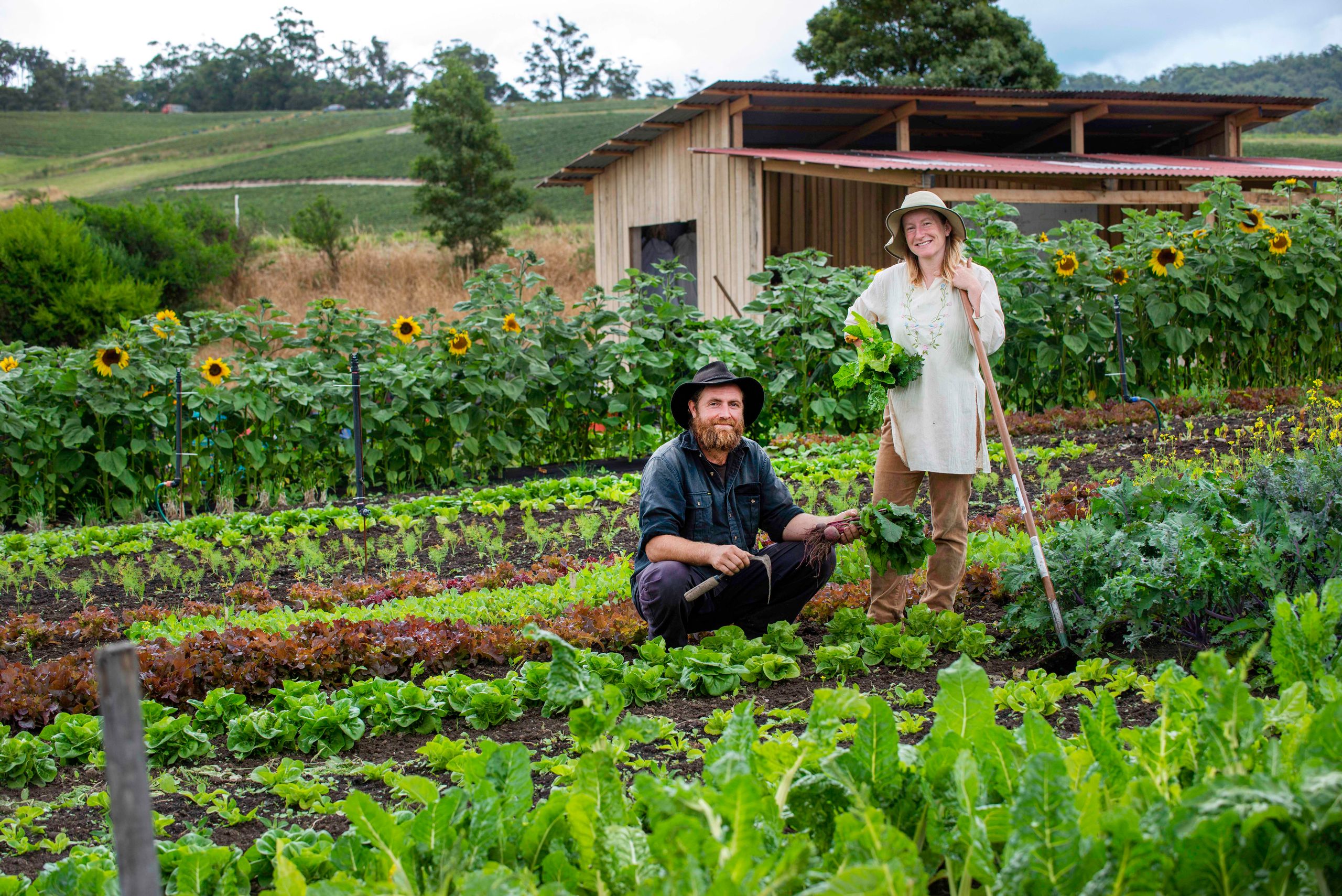 EARLY BIRD farm on ABC's Country Hour - Sprout Tasmania