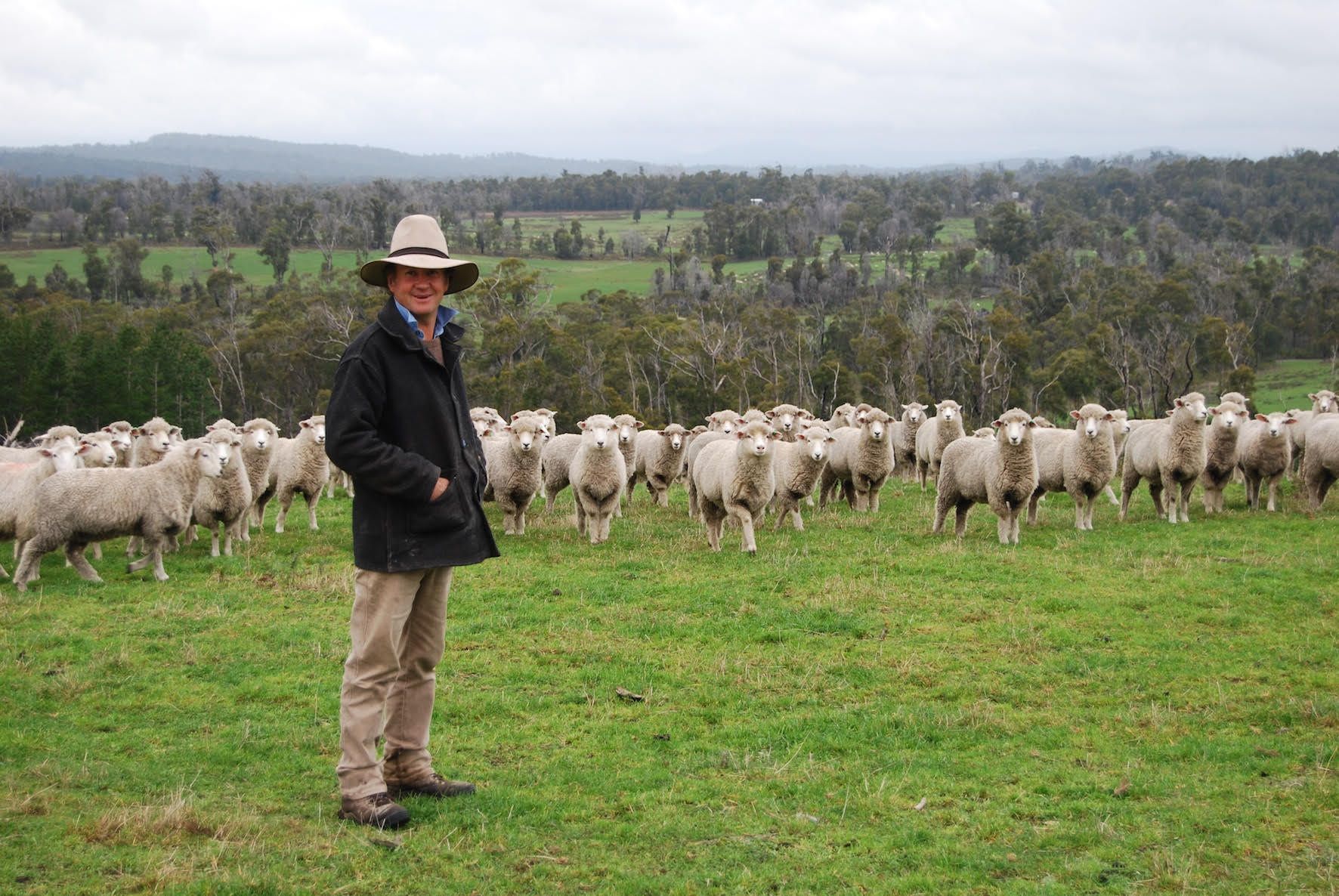 Headlam Farm - Sprout Tasmania