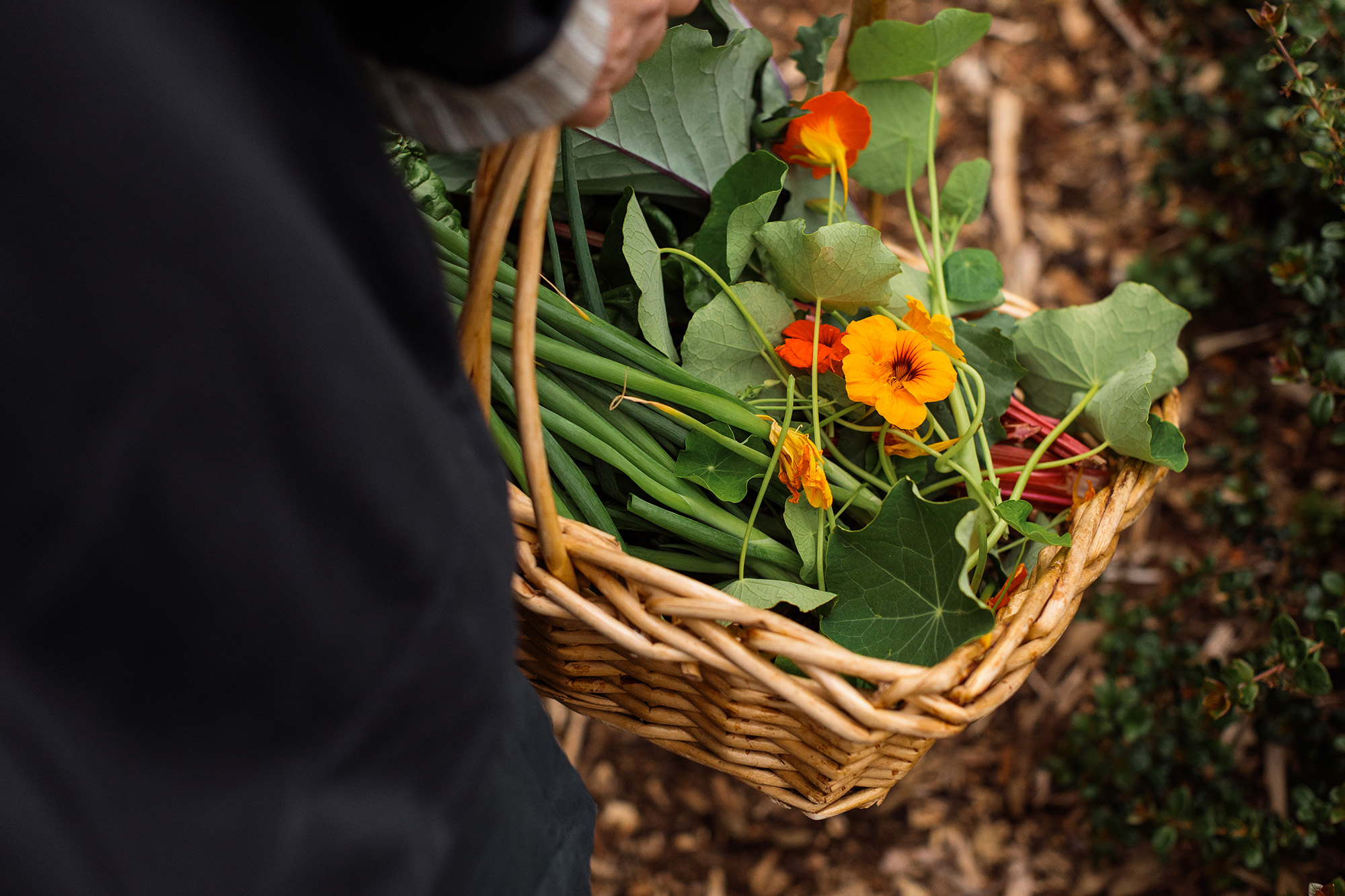Donate - Sprout Tasmania