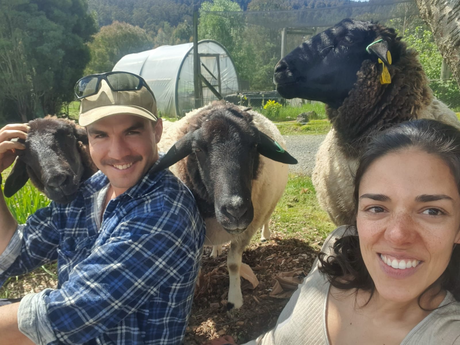 Sparrow Foot Farm - Sprout Tasmania