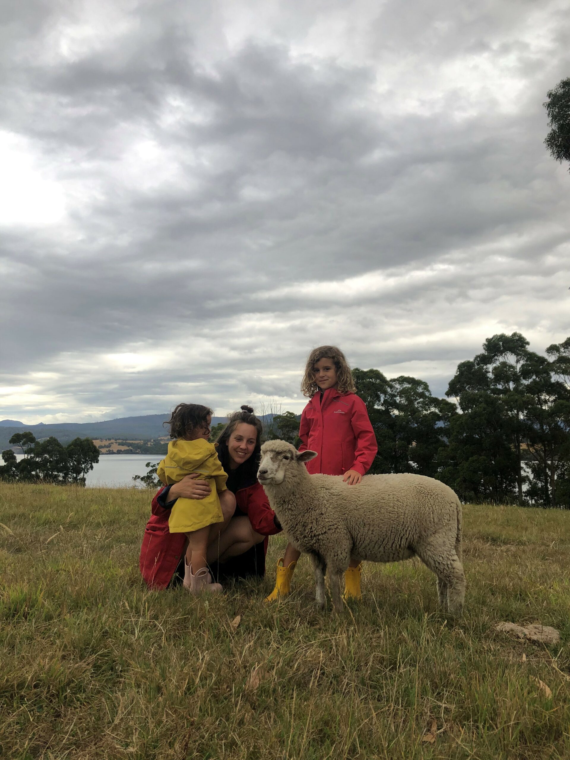 Rising Farm - Sprout Tasmania