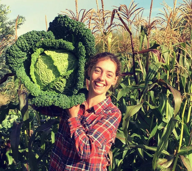 Fat Pig Produce - Sprout Tasmania