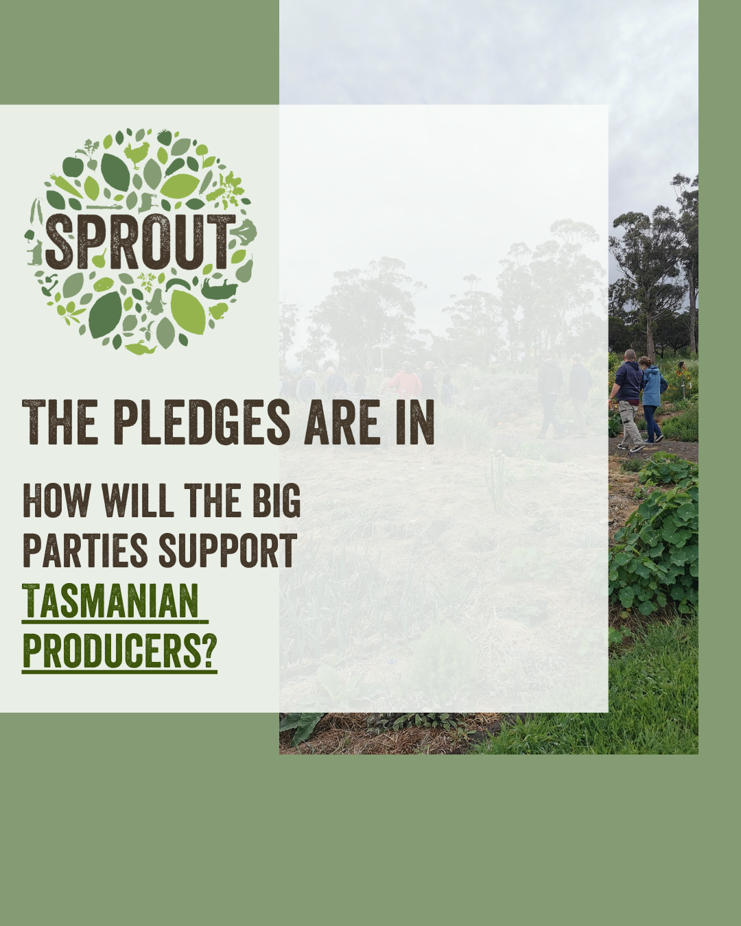 Election media release - July 2025 - Sprout Tasmania
