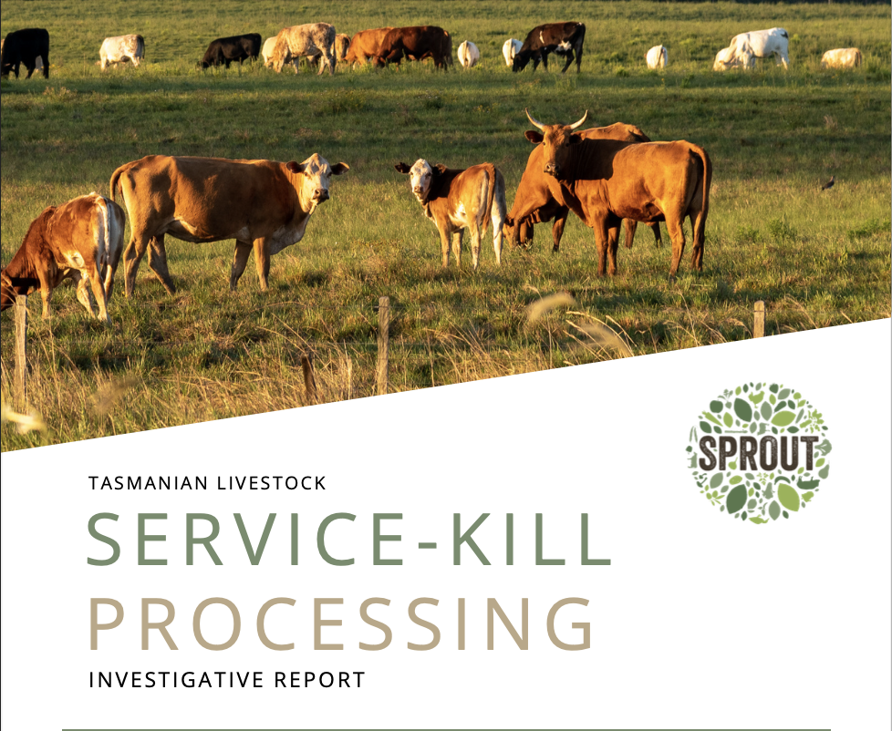 media release - MAY 2025 - Sprout Tasmania