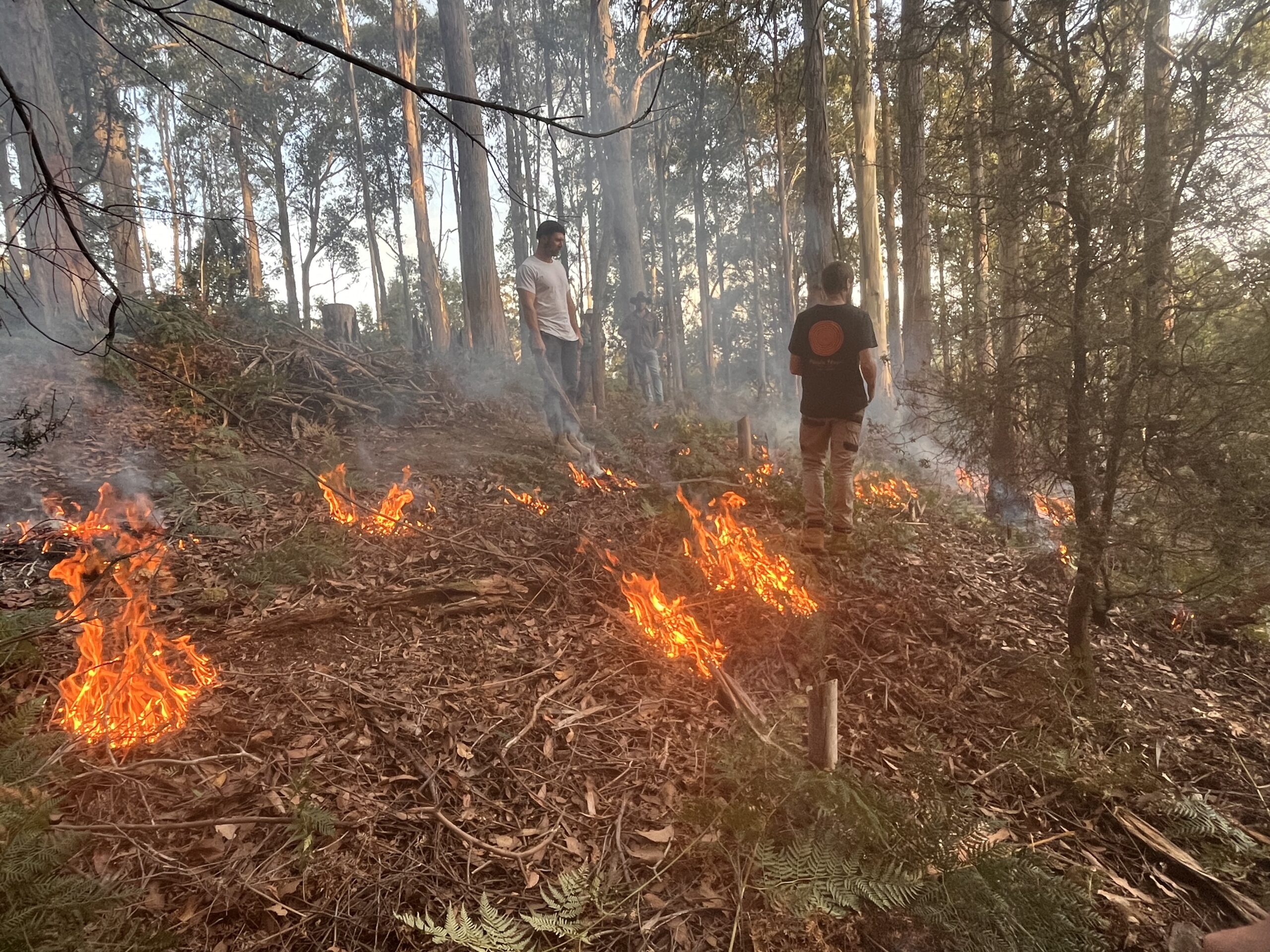 Weaving good fire Workshops - Sprout Tasmania