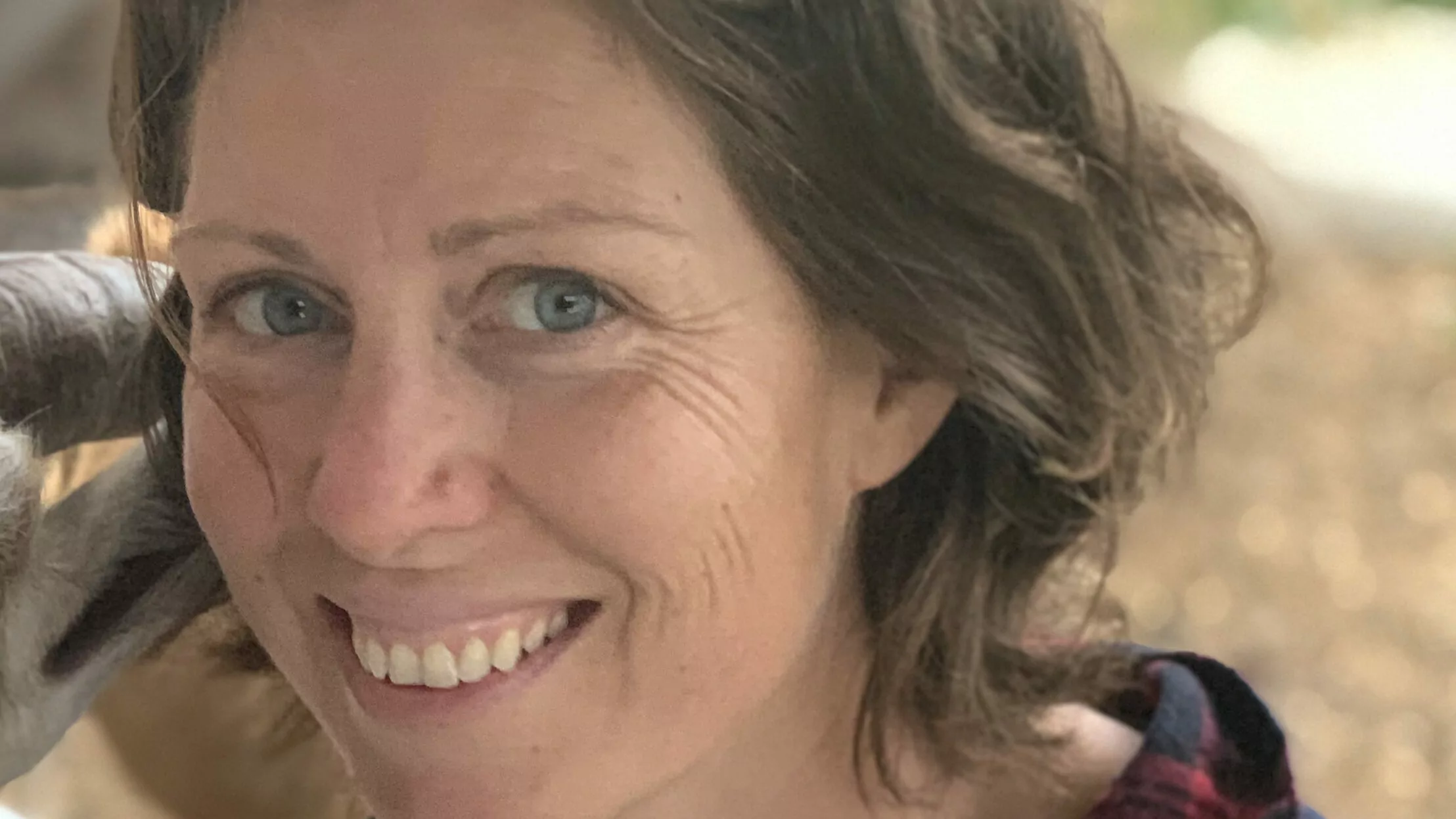 Our Board - Sprout Tasmania